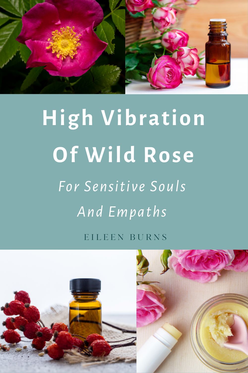 High Vibration Of Wild Rose For Sensitive Souls