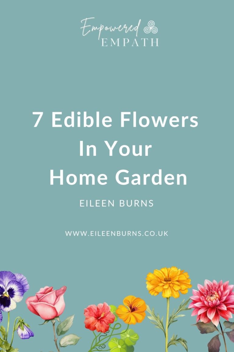 7 Beautiful Edible Flowers You Can Eat!