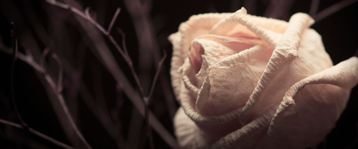 7 Signs Of Spiritual Disconnection In Your Life